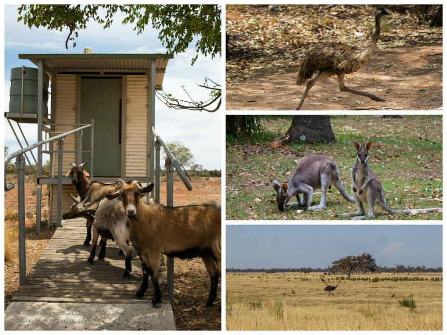 Our Off Beat Australian Outback Road Trip