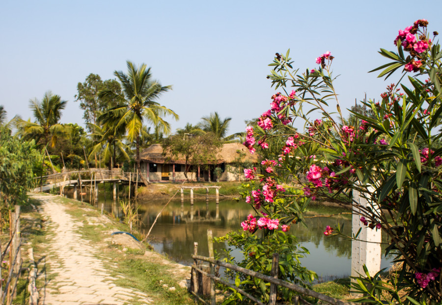 Searching For Tigers in the Sundarbans - Global Gallivanting Travel Blog
