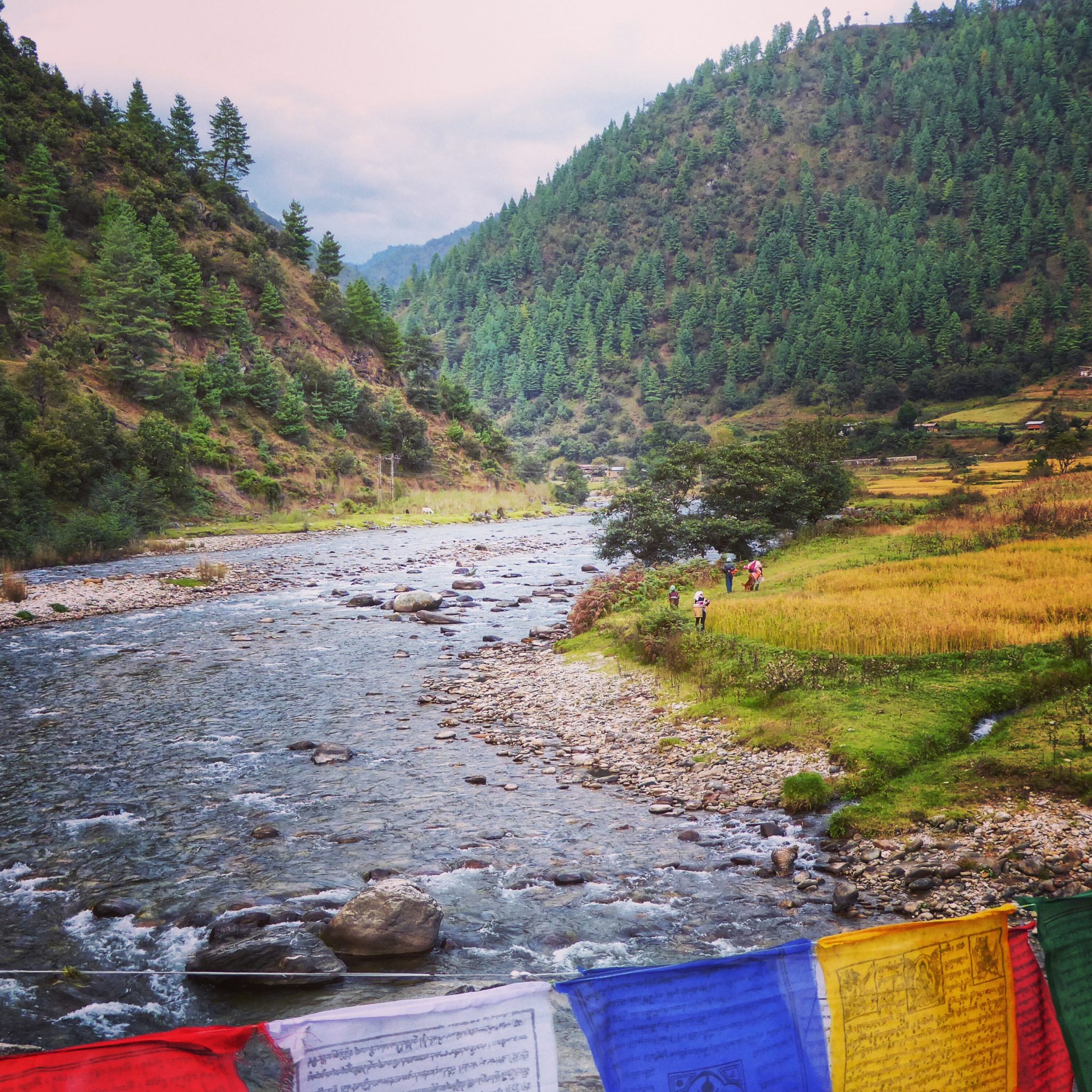 Tawang, Arunachal Pradesh: Adventure To The Last Shangri-La! - Global ...