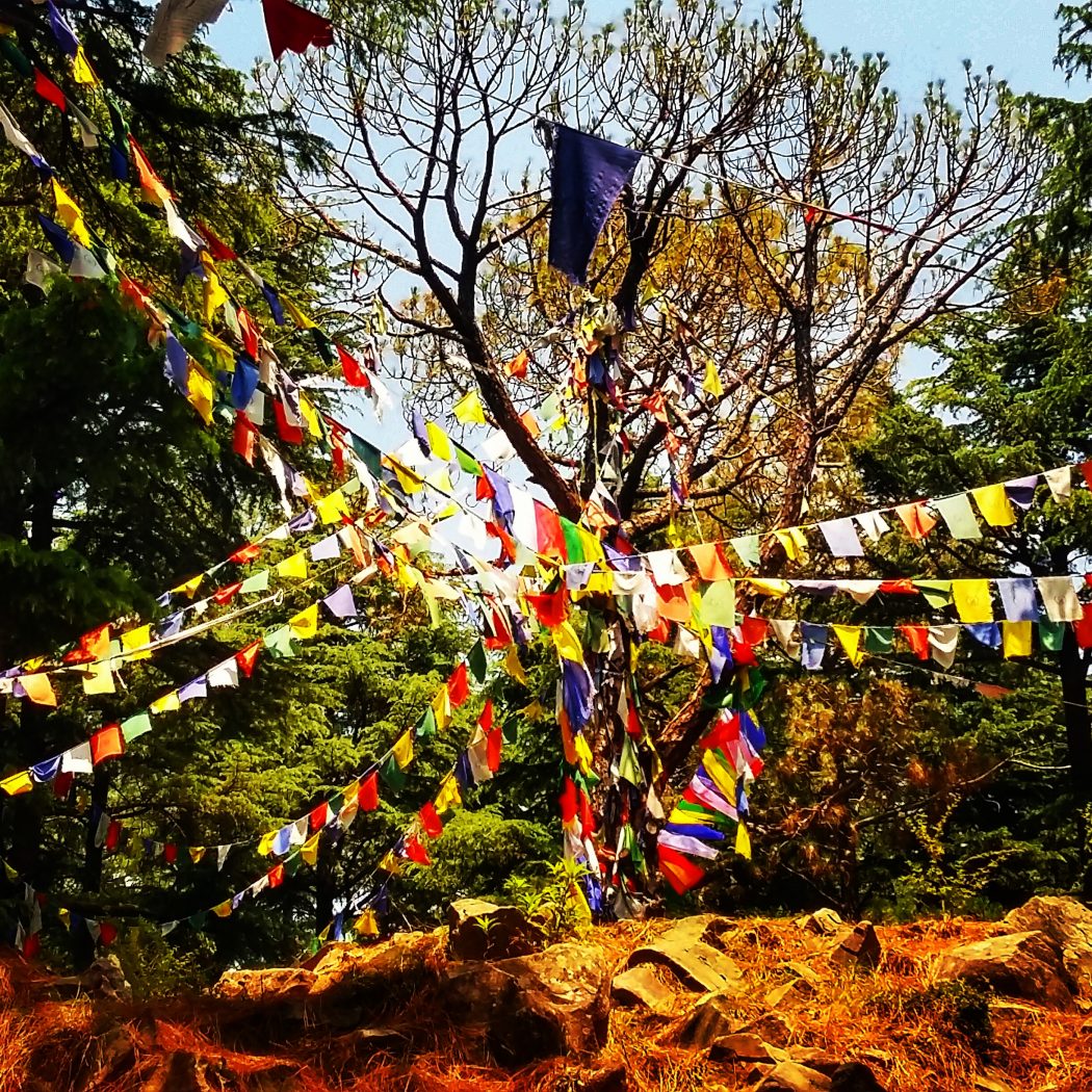 Dharamkot Guide: A Hippie Village in the Indian Himalayas