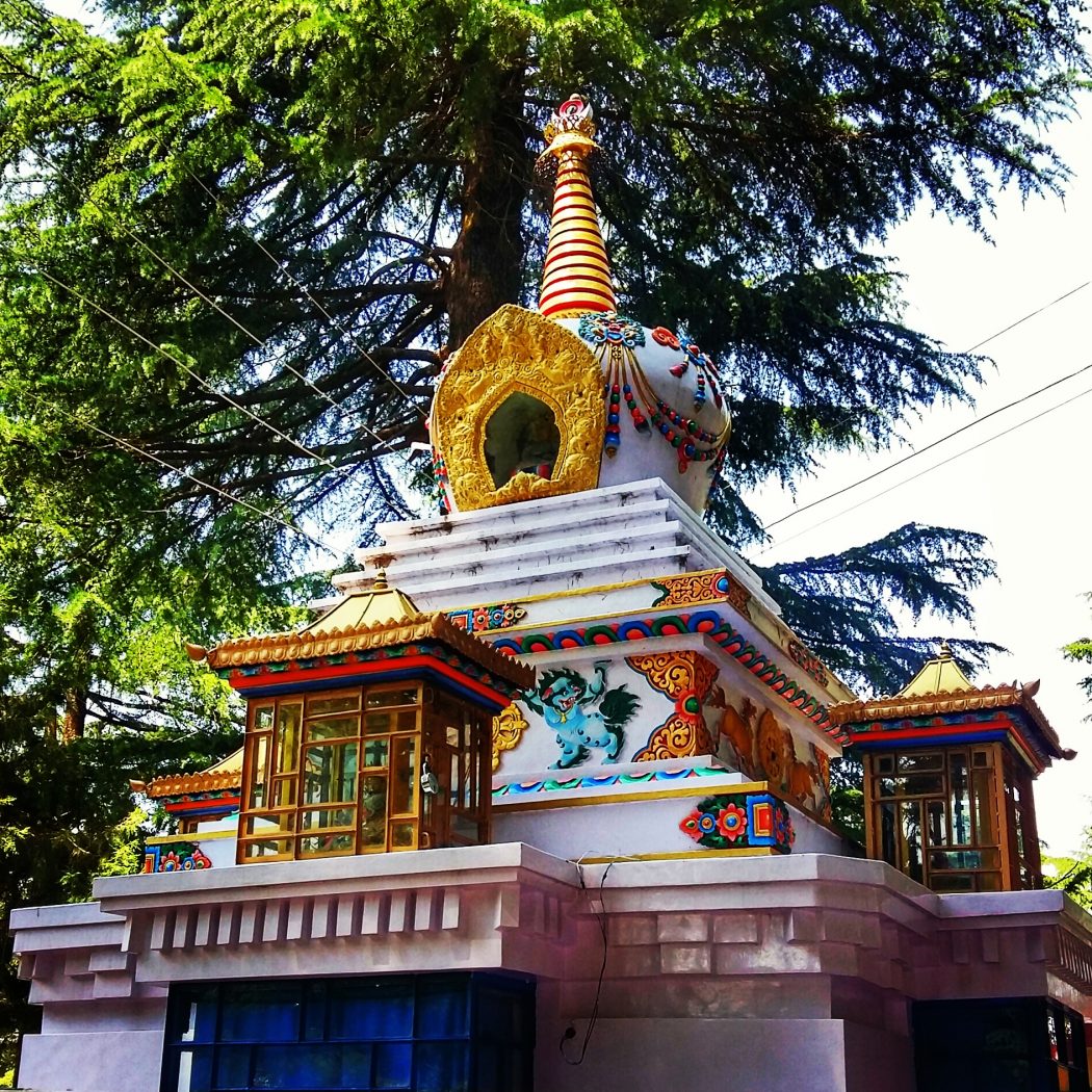 Dharamkot Guide: A Hippie Village in the Indian Himalayas