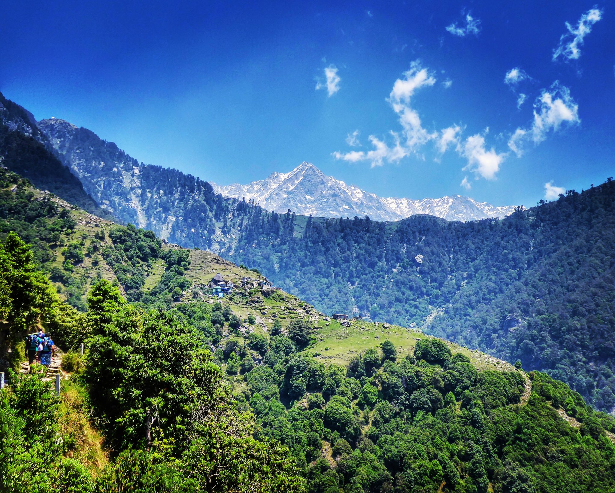 Dharamkot Guide: A Hippie Village in the Indian Himalayas