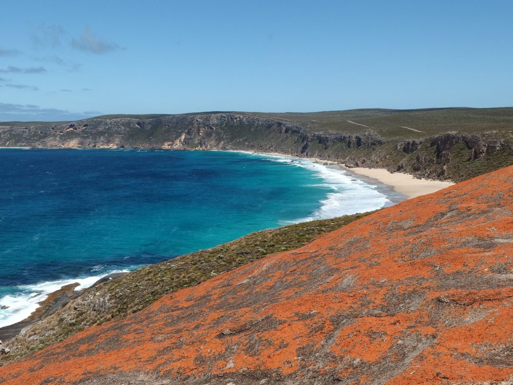 4 Reasons To Visit Adelaide, South Australia