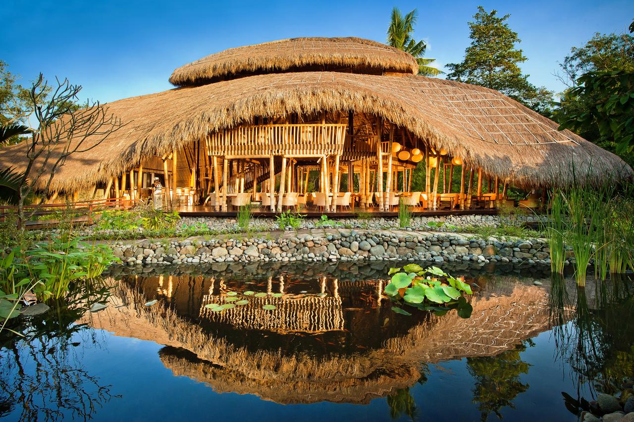 My Pick of The Best Yoga Retreats in Ubud, Bali (2025)