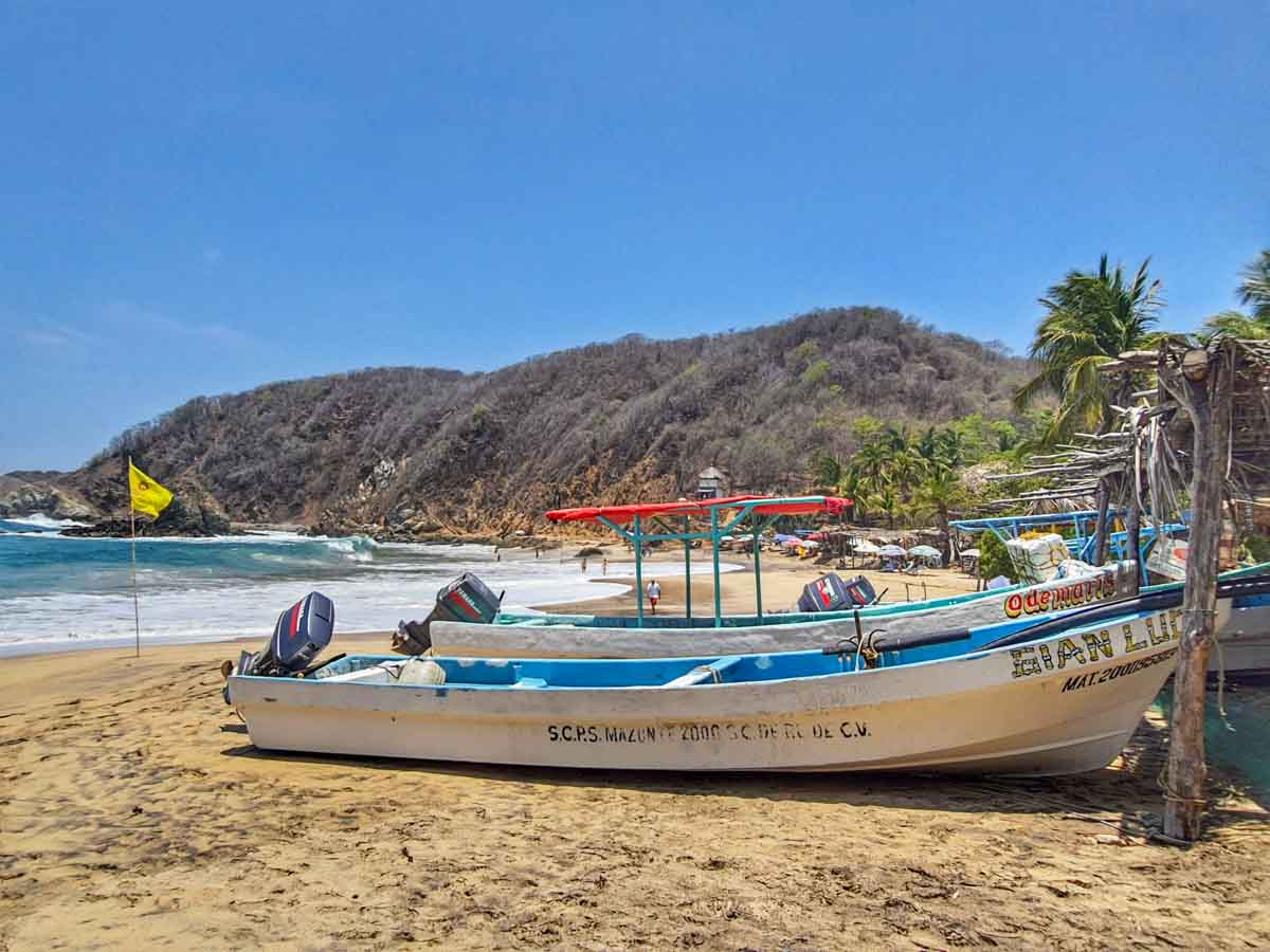 My Guide to Mazunte, Oaxaca: Mexico's Turtle & Yoga Hotspot