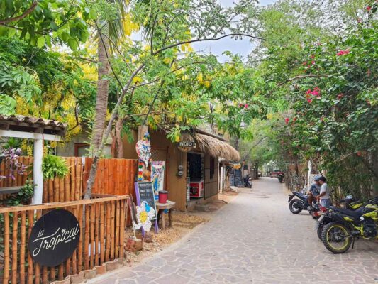 My Guide to Mazunte, Oaxaca: Mexico's Turtle & Yoga Hotspot (2024)