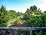 Exploring Battambang and Riding Cambodia's Bamboo Train! - Global ...