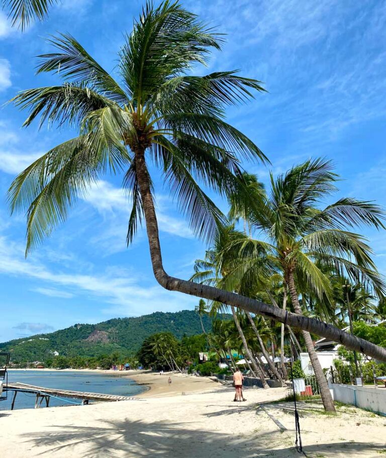 My Favourite Things to do in Koh Samui (2025 Guide)